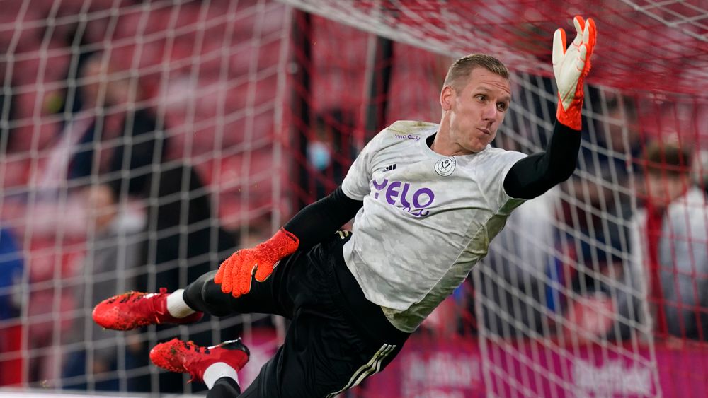 Robin looking forward